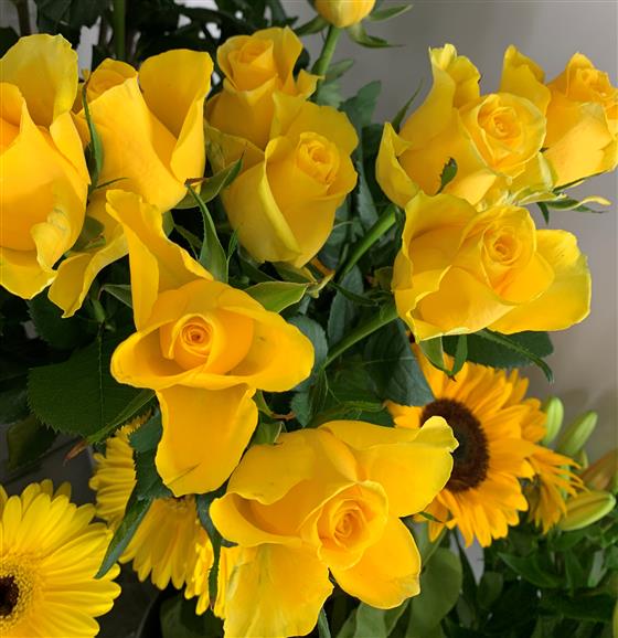 Rose- Moonwalk- Yellow Perfect Moment-Flowers Ltd Welwyn Garden City