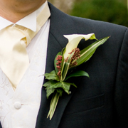 Calla lily buttonhole- white Perfect Moment-Flowers Ltd Welwyn Garde
