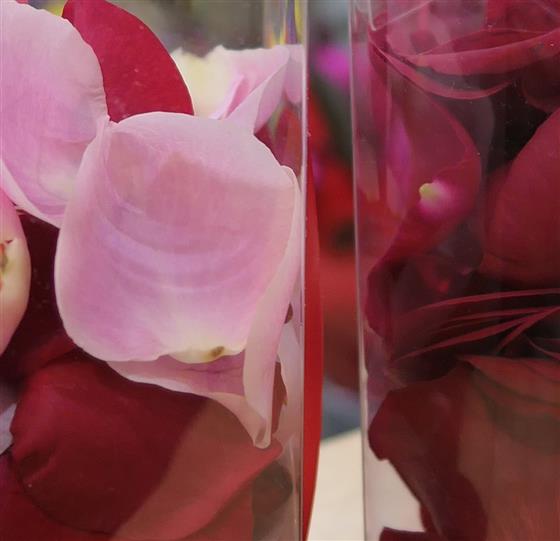 Fresh Rose Petals Perfect Moment-Flowers Ltd Welwyn Garden City Flor
