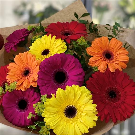 Vibrant Gerbera Mix